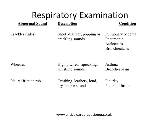 Structured examination of the Respiratory System | PPTX | Lung and ...