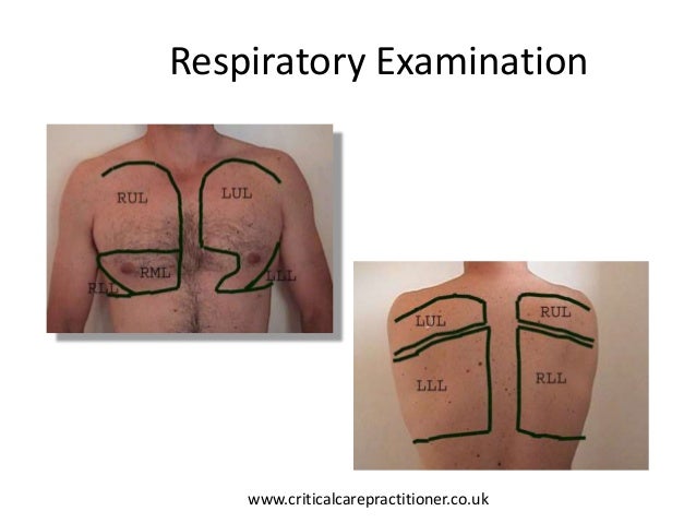 Structured examination of the Respiratory System