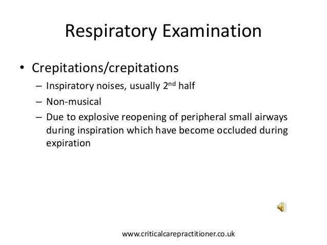 Structured examination of the Respiratory System