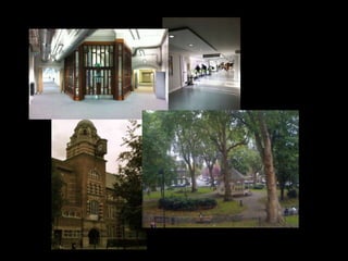 Library and Information Science Education for the 21st Century / Lyn ...