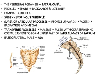 02 SACRUM.pptx on tha anatomy and surrounding | PPTX