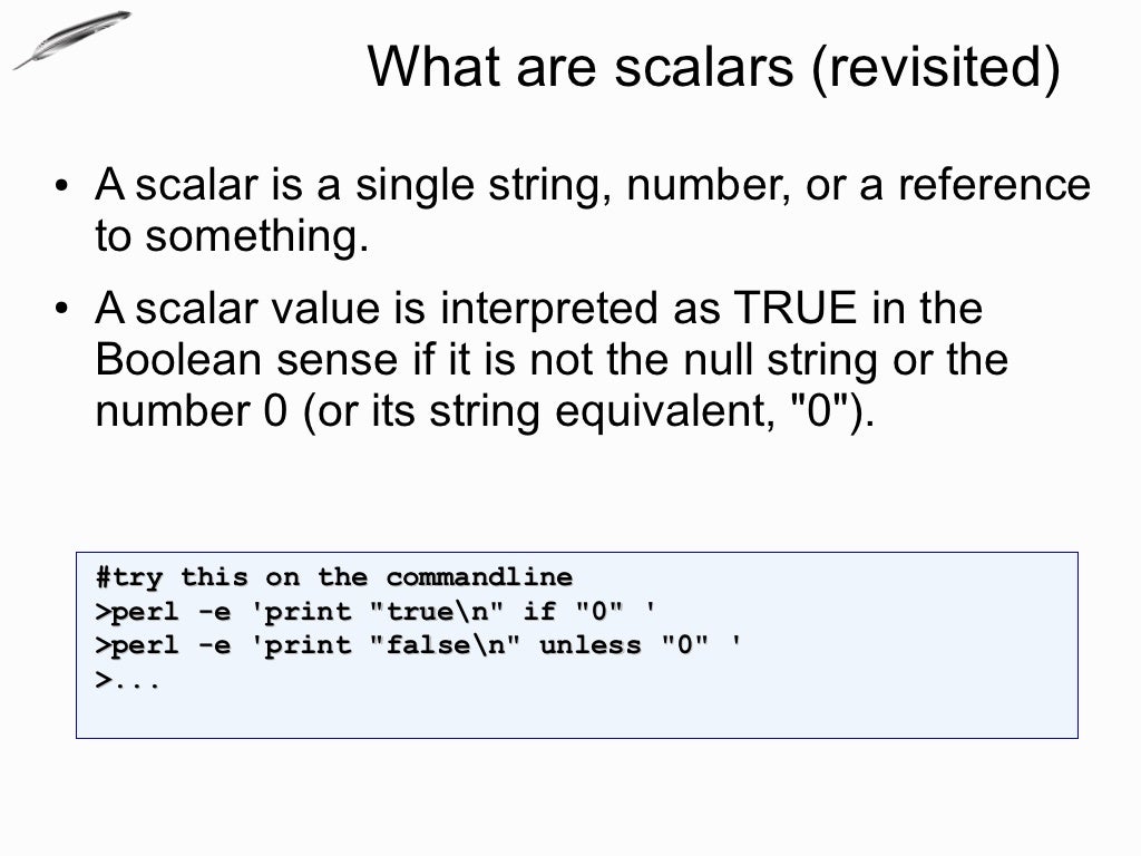 Scalar Data Types 4002