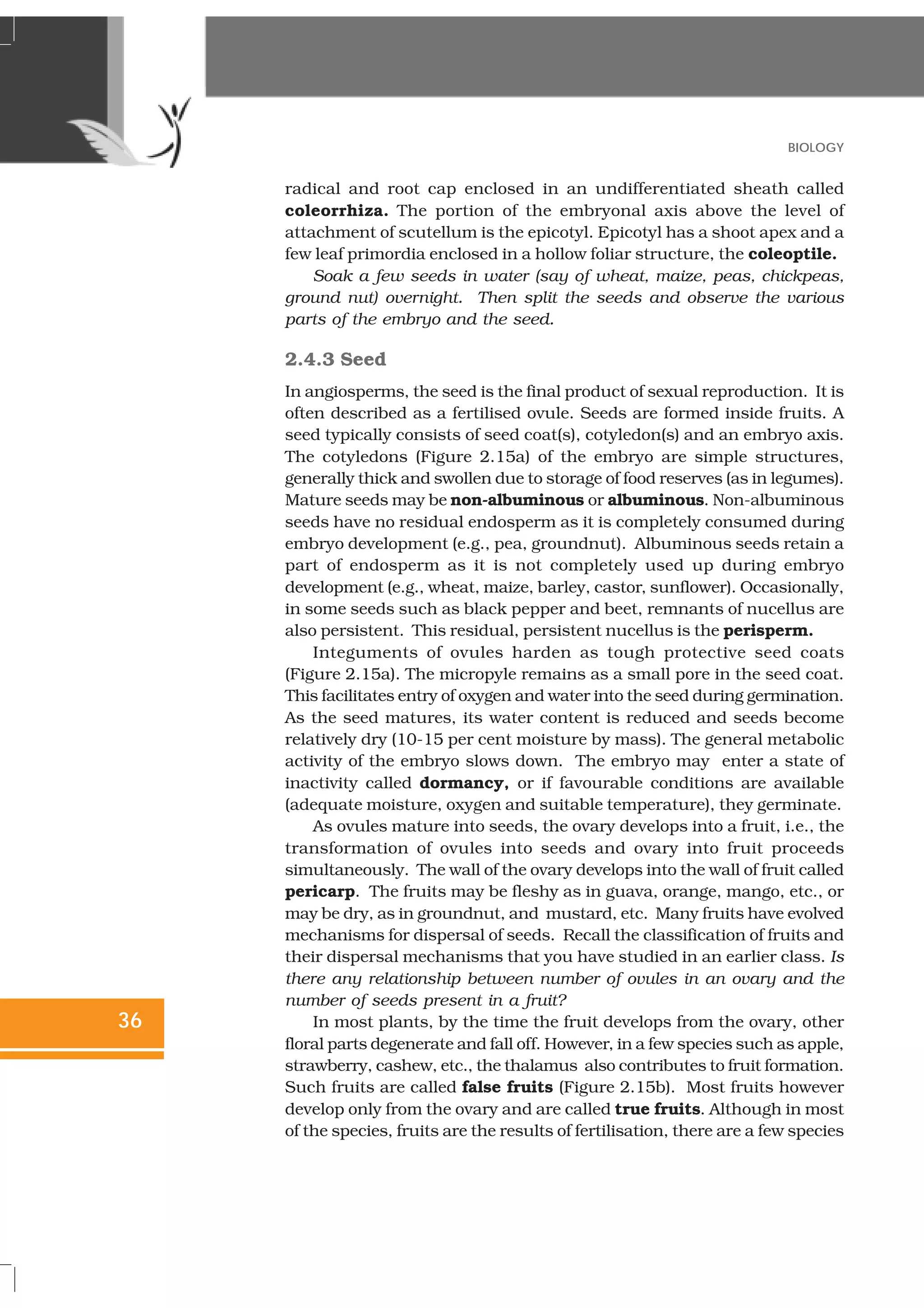 02 sexual reproduction in flowering plants | PDF