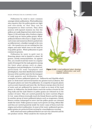 02 sexual reproduction in flowering plants | PDF