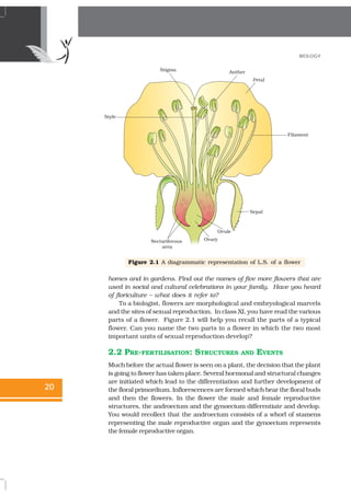 02 sexual reproduction in flowering plants | PDF