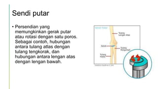 02 sistem gerak pada manusia persendian | PPT