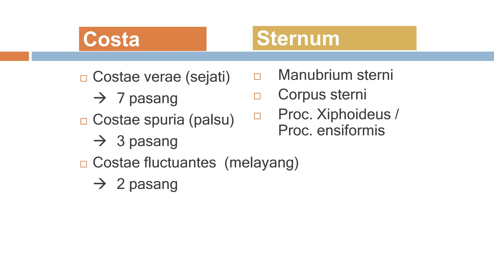 Sistem rangka pada manusia , menjelaskan bagaimana sistem rangka pada ...