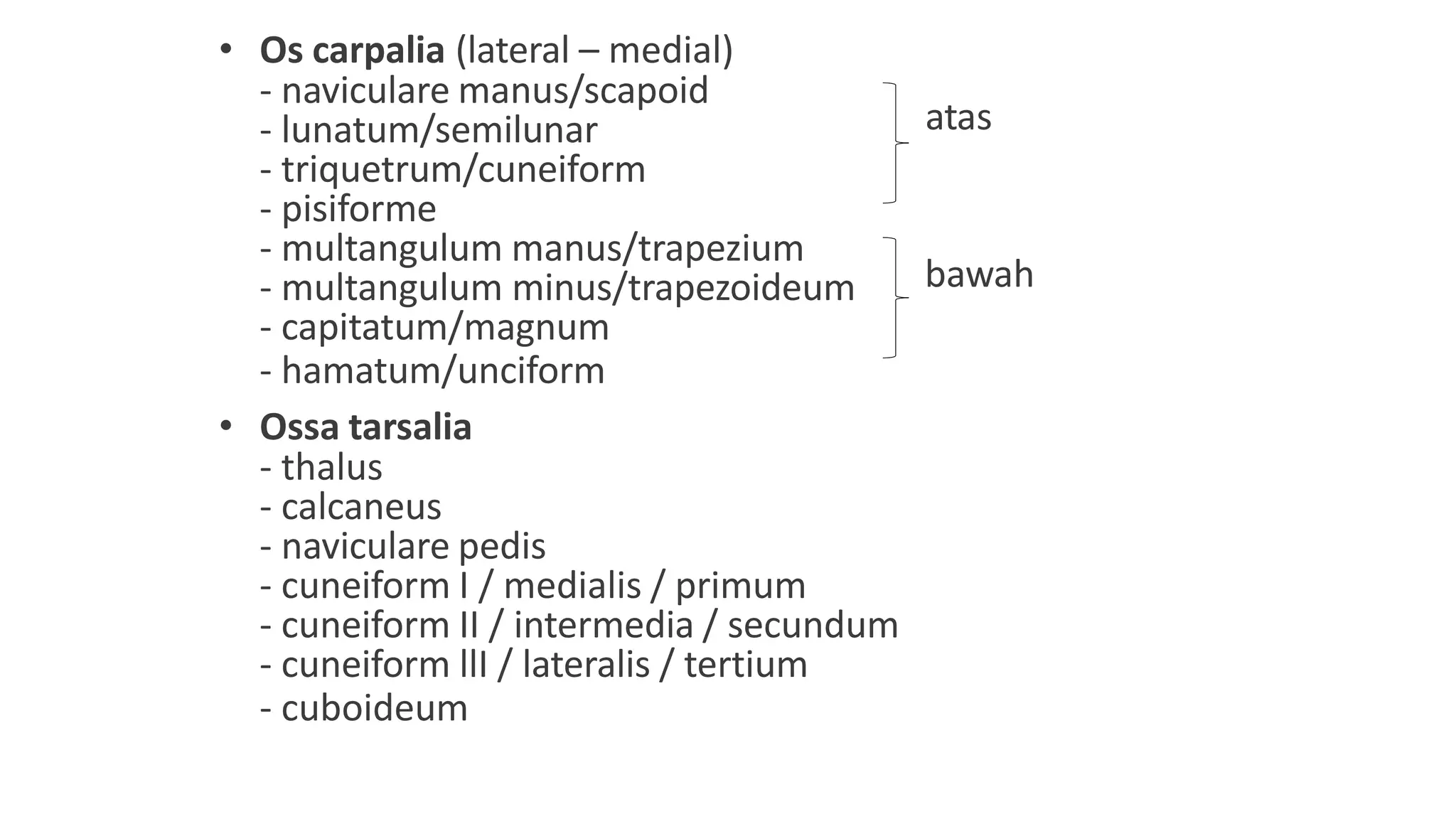 Sistem rangka pada manusia , menjelaskan bagaimana sistem rangka pada ...
