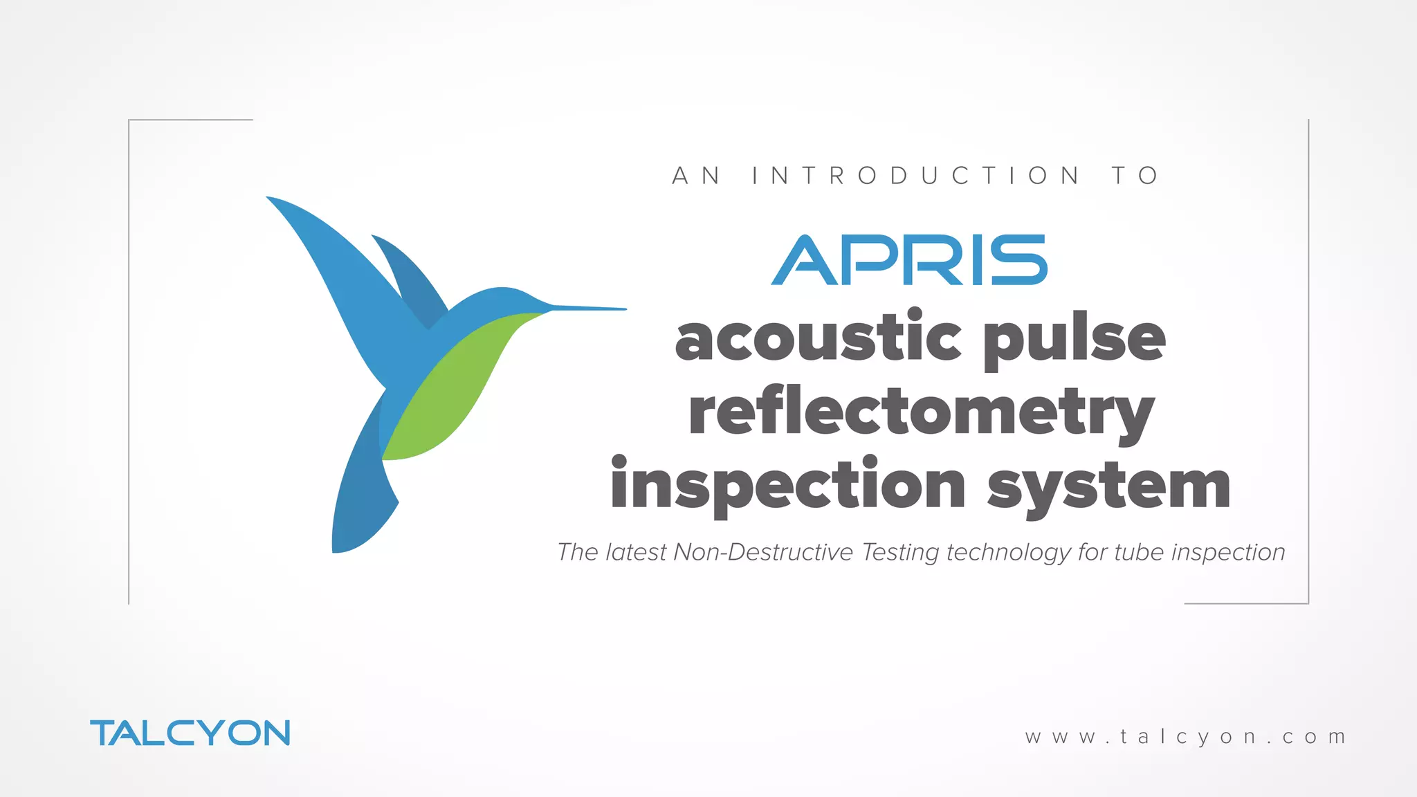 An Introduction to Acoustic Pulse Reflectometry Inspection System ...
