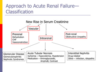 02 Sperati Prevention And Management Of Acute Renal Failure | PPT