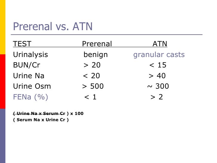 02 Sperati Prevention And Management Of Acute Renal Failure