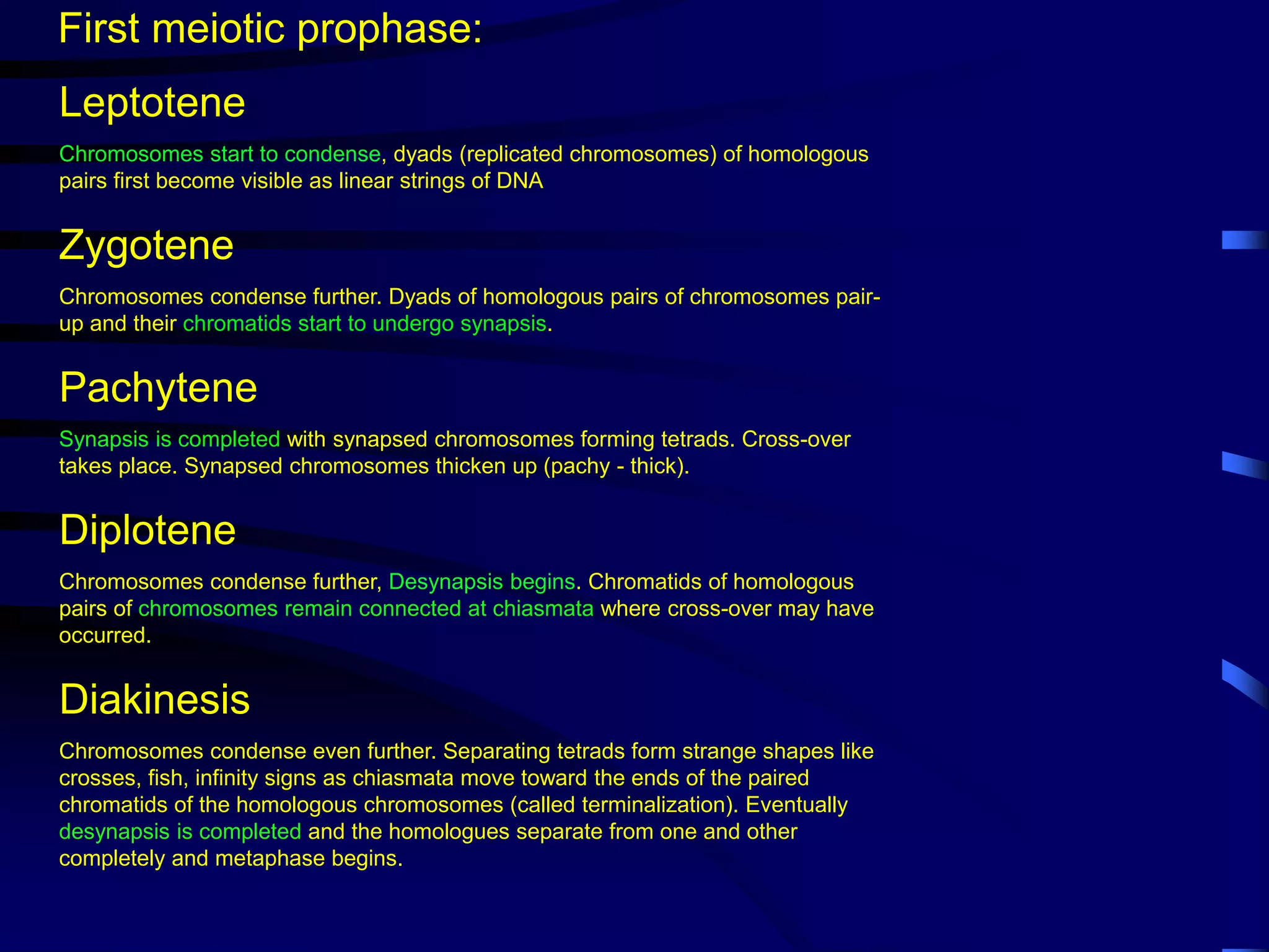 02Spermatogenesistxt.ppt