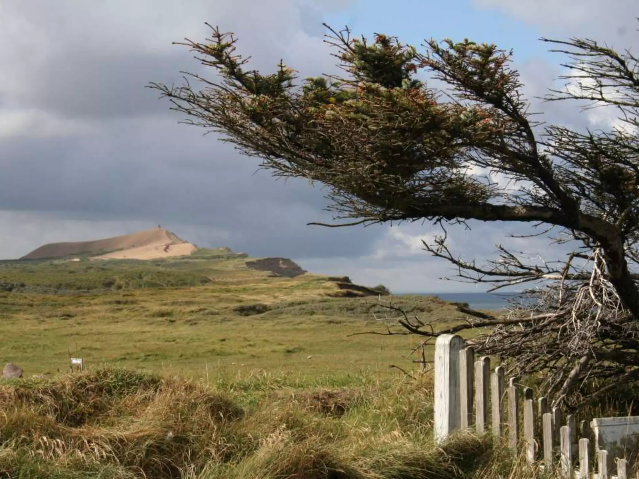 Chemistry and Mathematics - the perfect Couple? | PPT