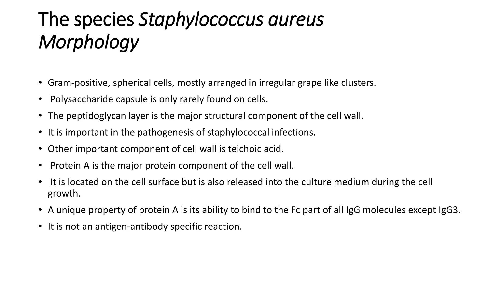 staphylococcal infections | PPTX