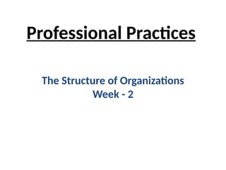 Structure of Organization in Professional Practices.pptx