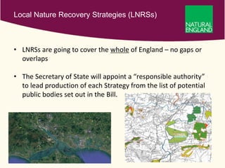 Local Nature Recovery Strategies by Sue Beale | PPT