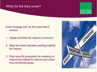 Local Nature Recovery Strategies by Sue Beale | PPT
