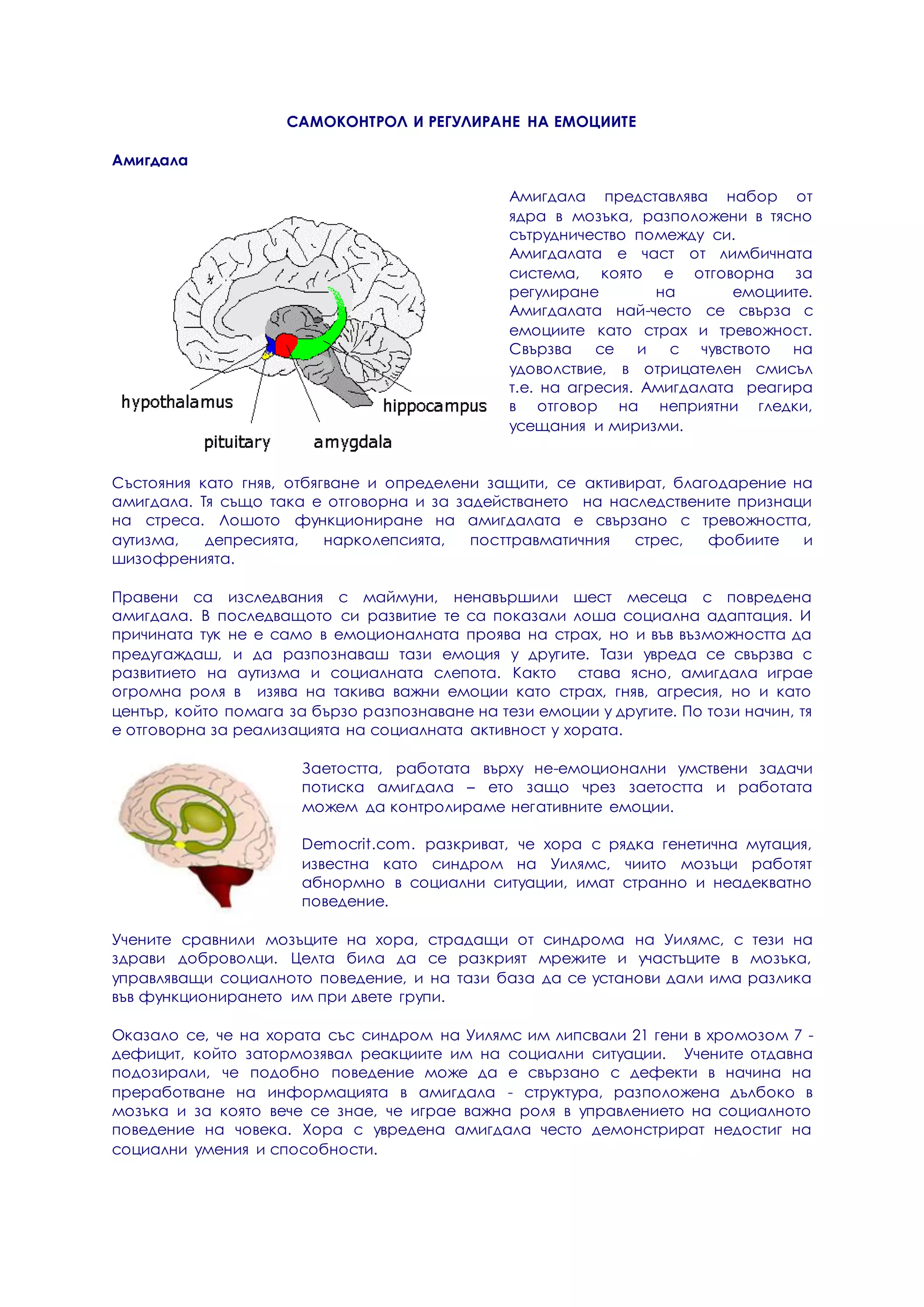 Brain and self control | PDF