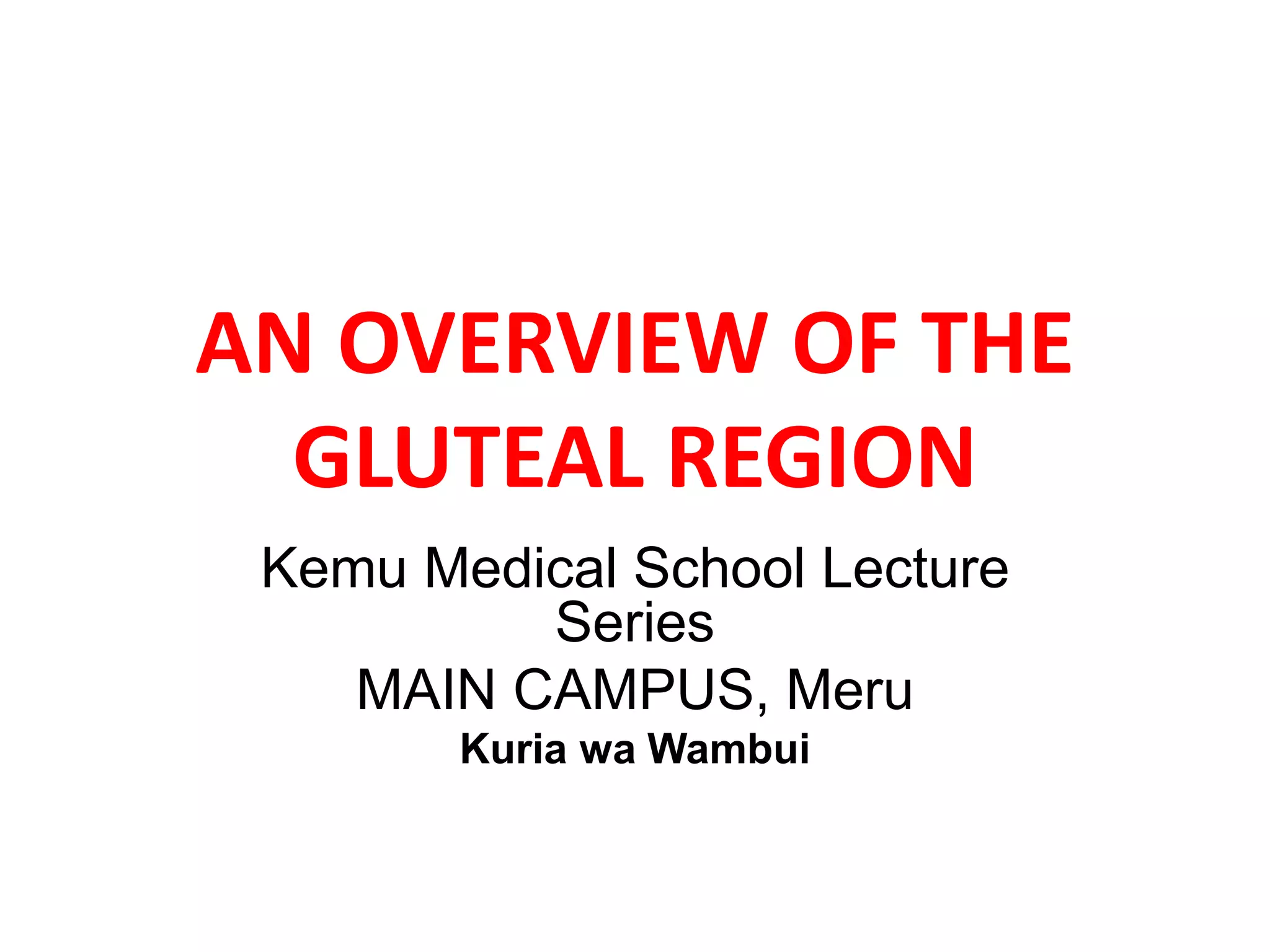 02 THE GLUTEAL REGION-AN OVERVIEW OF KURIA SERIES.pptx