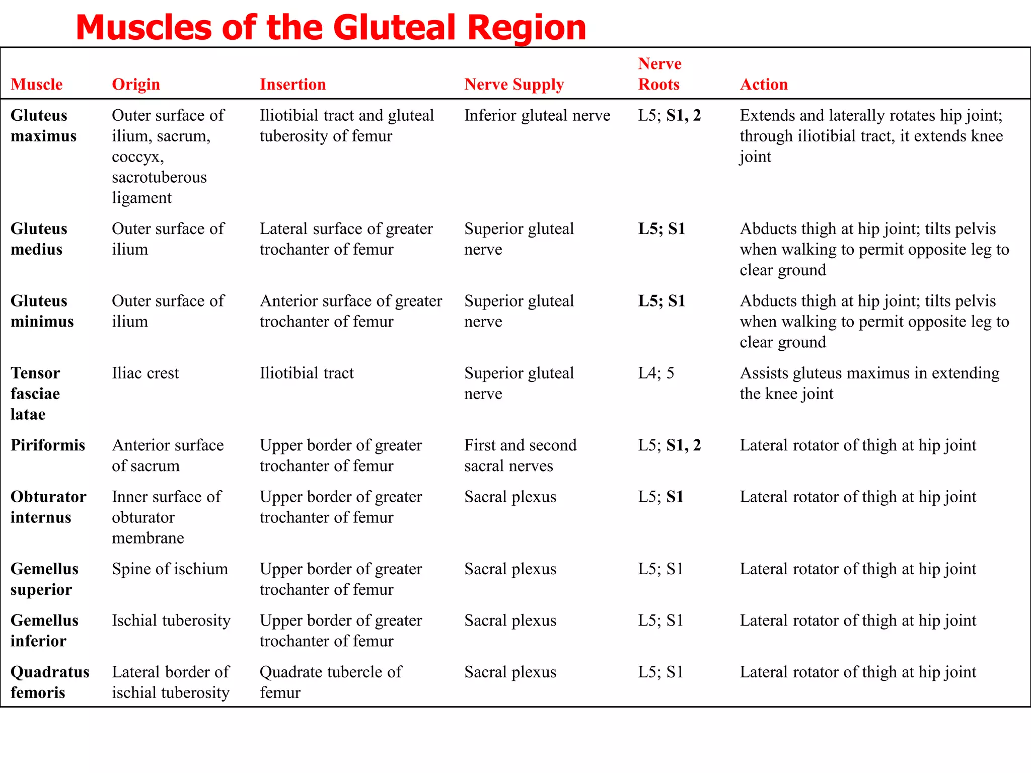 02 THE GLUTEAL REGION-AN OVERVIEW OF KURIA SERIES.pptx