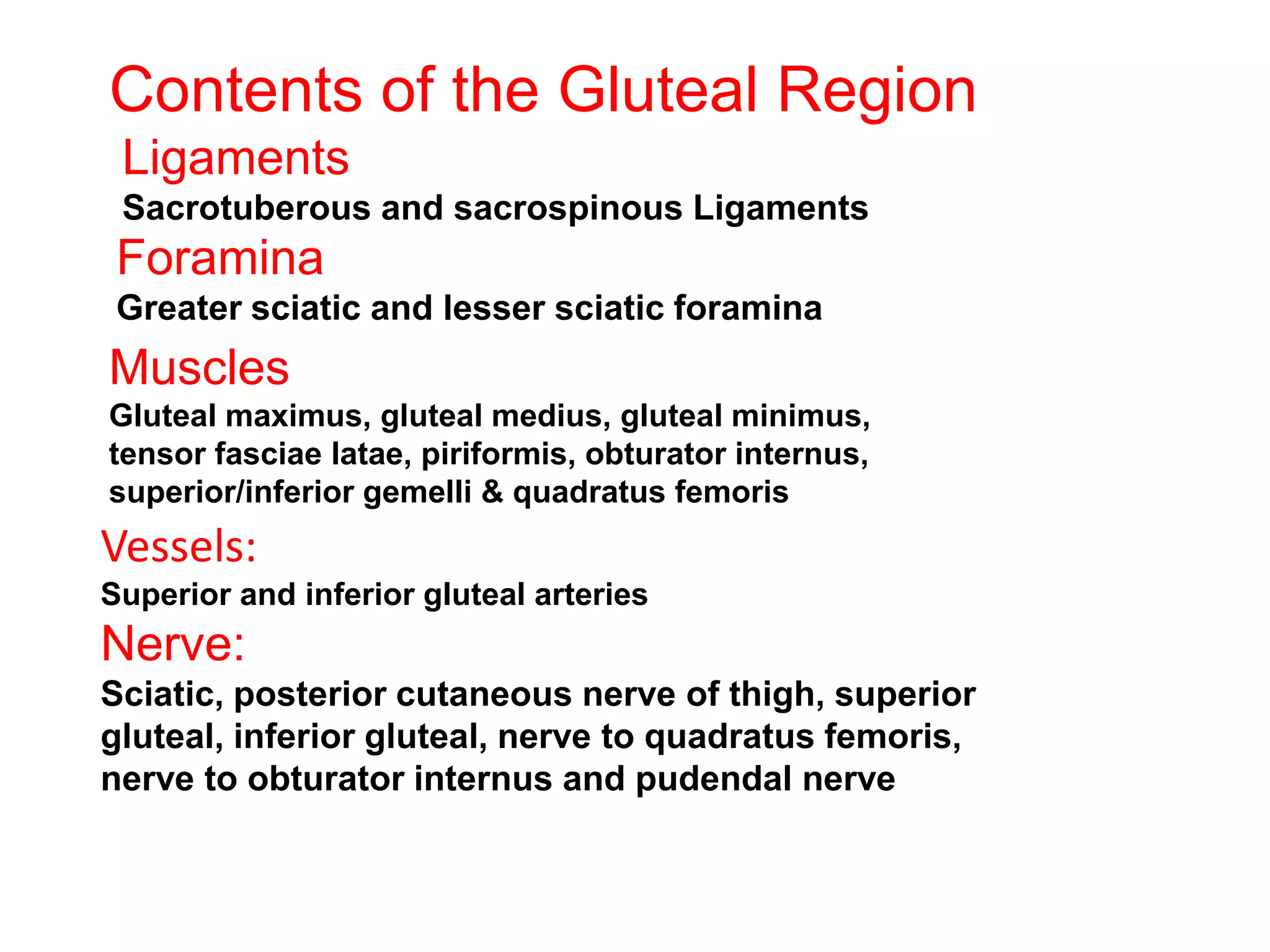 02 THE GLUTEAL REGION-AN OVERVIEW OF KURIA SERIES.pptx