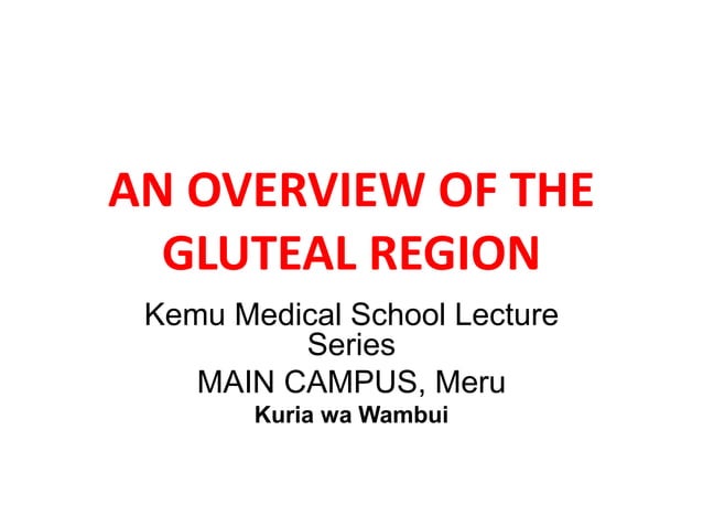 02 THE GLUTEAL REGION-AN OVERVIEW OF KURIA SERIES.pptx | Death, Injury ...