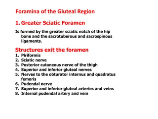 02 THE GLUTEAL REGION-AN OVERVIEW OF KURIA SERIES.pptx