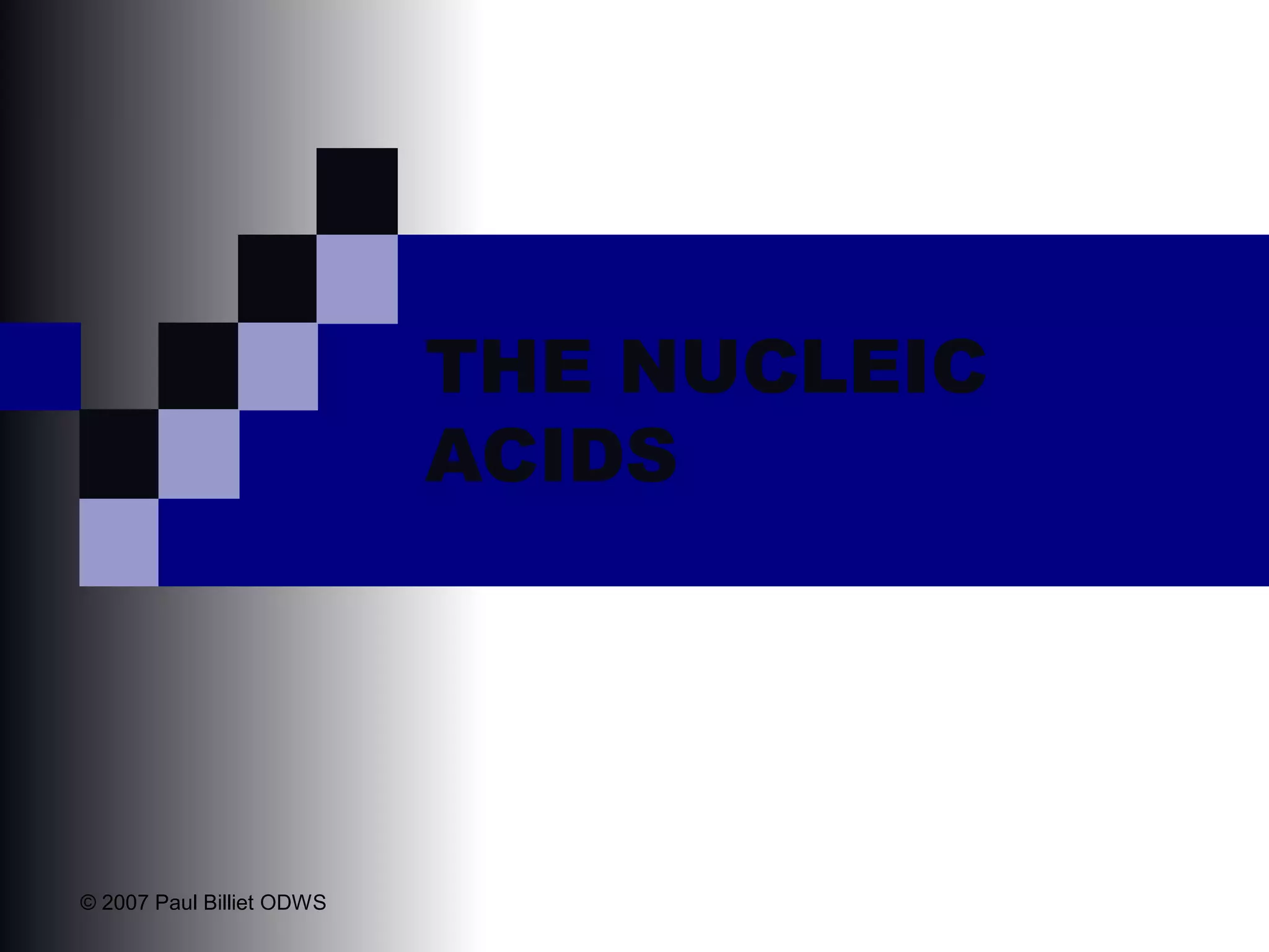 02 The Nucleicacids Ppt