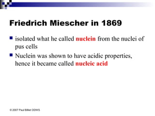 02 the nucleic_acids | PPT