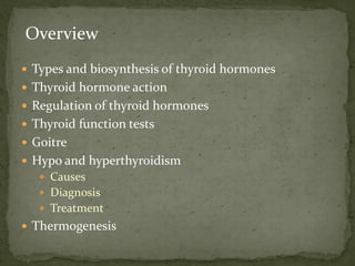 02 Thyroid Hormones.ppt