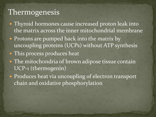 02 Thyroid Hormones.ppt