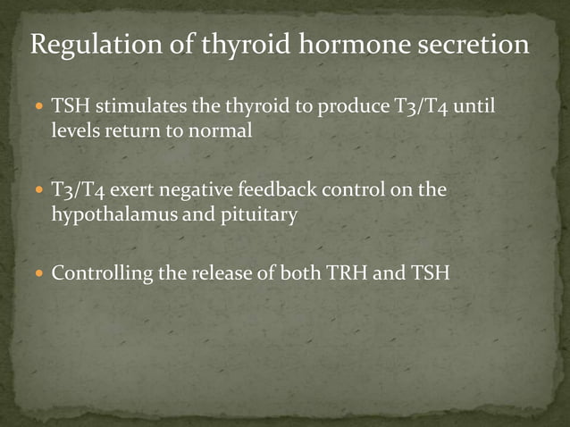 02 Thyroid Hormones.ppt