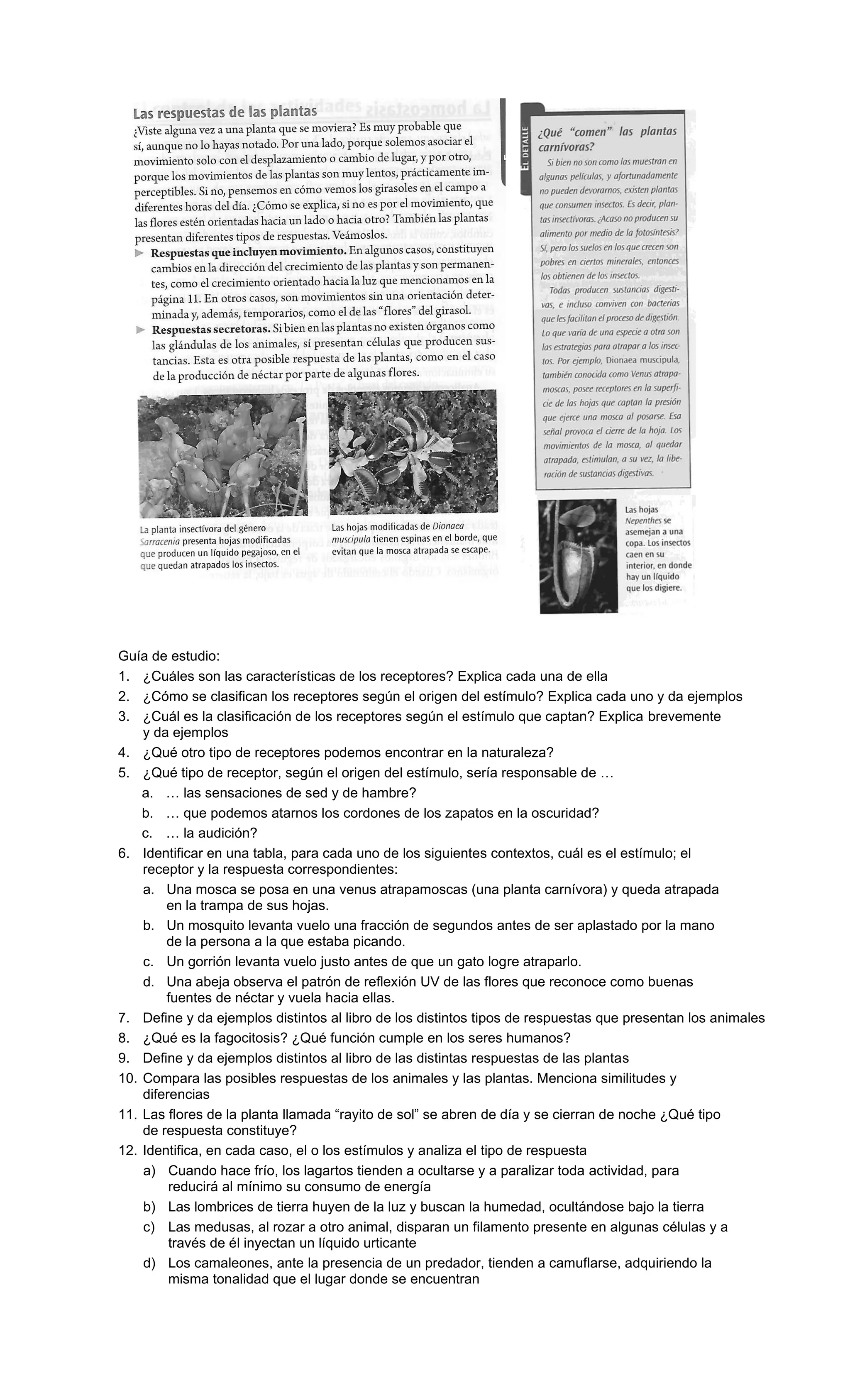 02 Tipos de receptores Respuesta en plantas y animales.pdf