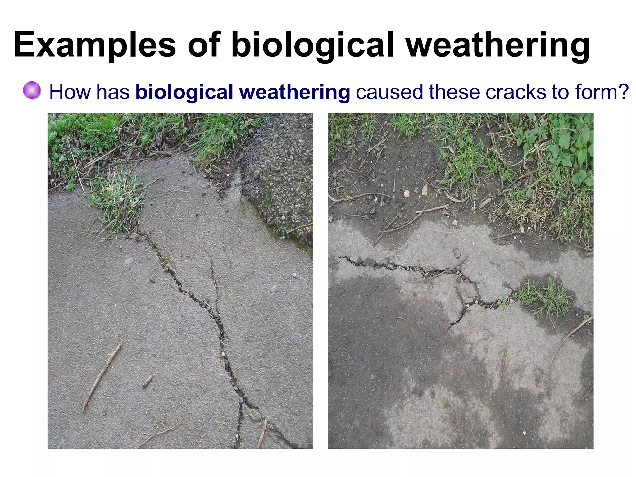02 types of weathering | PPT