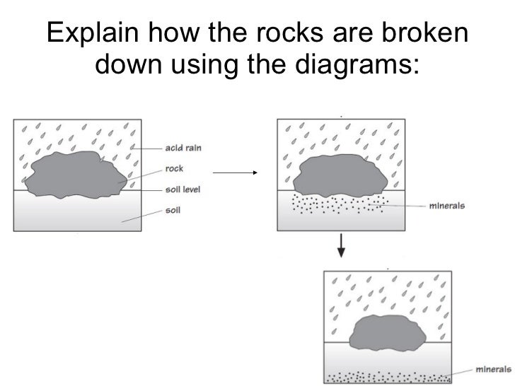 What Are The Biological Processes Of Weathering