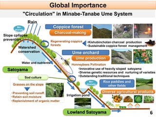 Minabe-Tanabe Ume System | PDF