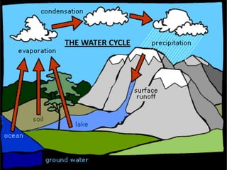 An Introduction to Water | PPTX