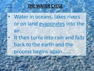 An Introduction to Water | PPTX