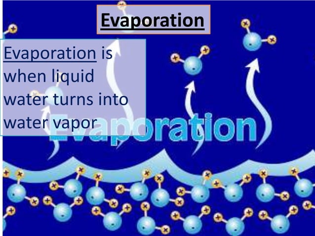 An Introduction to Water | PPT