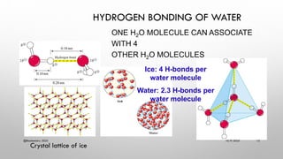 02 Water, Acid-Base Balance, Buffer systems 2025.pdf