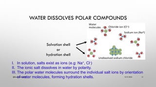 02 Water, Acid-Base Balance, Buffer systems 2025.pdf