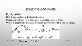 02 Water, Acid-Base Balance, Buffer systems 2025.pdf