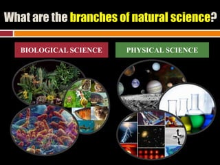 02 what is science | PPT