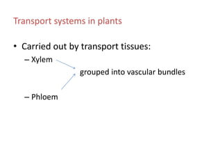Transport in plants | PPTX