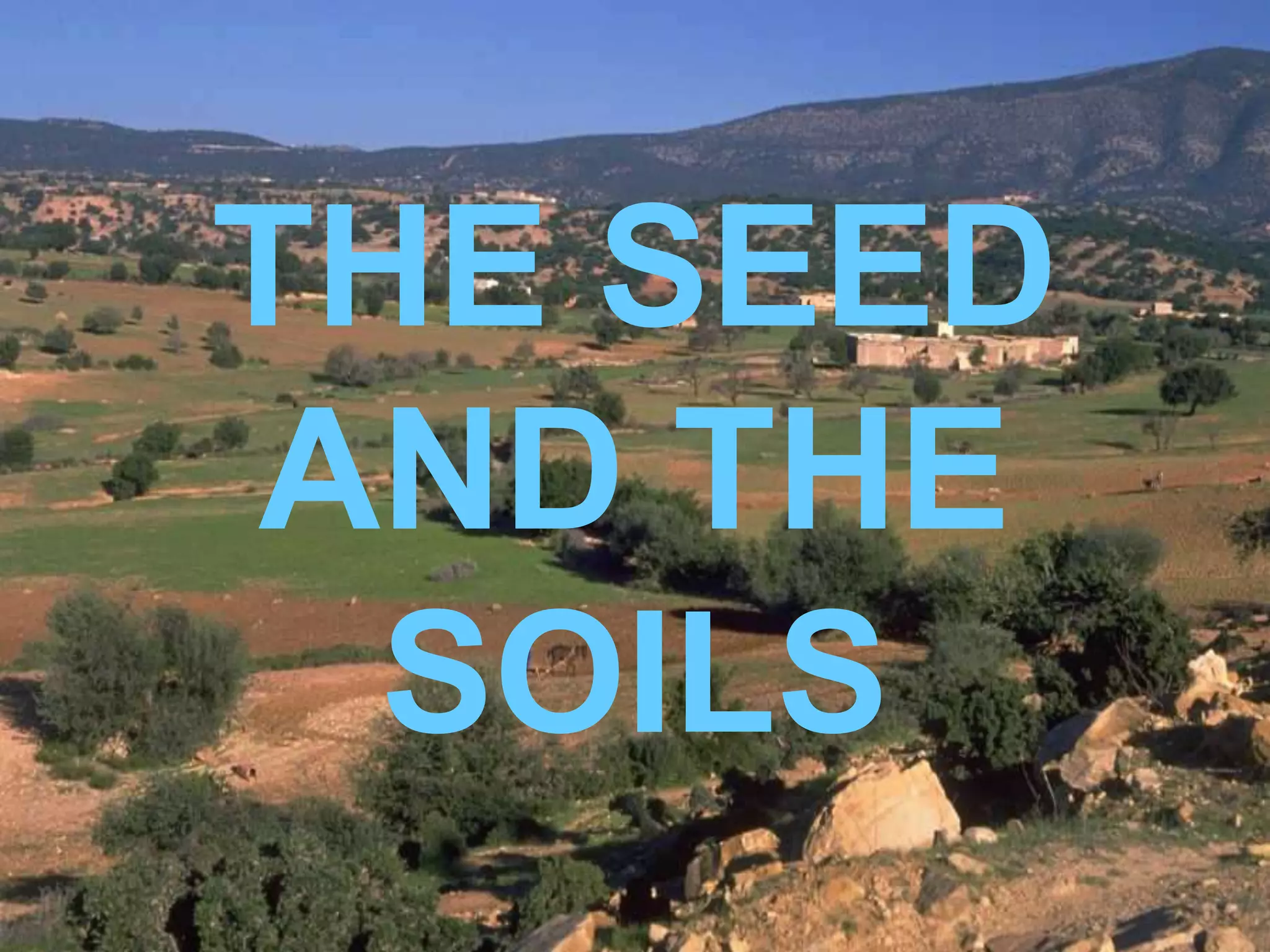 the seed and the soils | PPTX