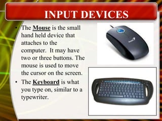 Firdous Yasmeen | PPT