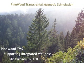 03 13-12 neuro-modulation power point-2 | PPT