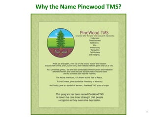 03 13-12 neuro-modulation power point-2 | PPT