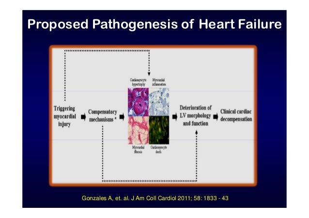 Recent Updated Pathogenesis and Management of Heart Failure: