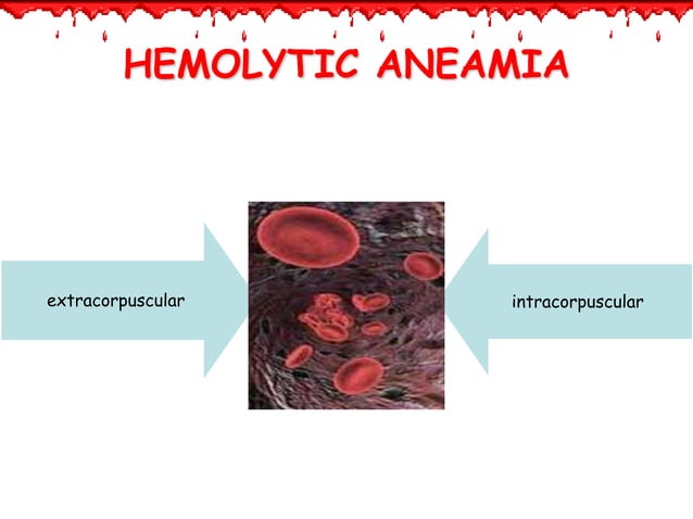 pathophysiology of rbc ( red blood cells) | PPTX | Blood Disorders ...